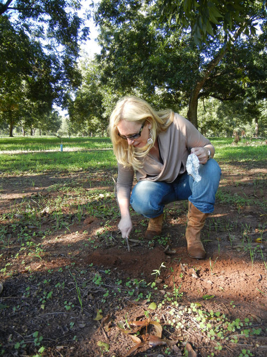 Why Start a Truffiere? | Susan Alexander